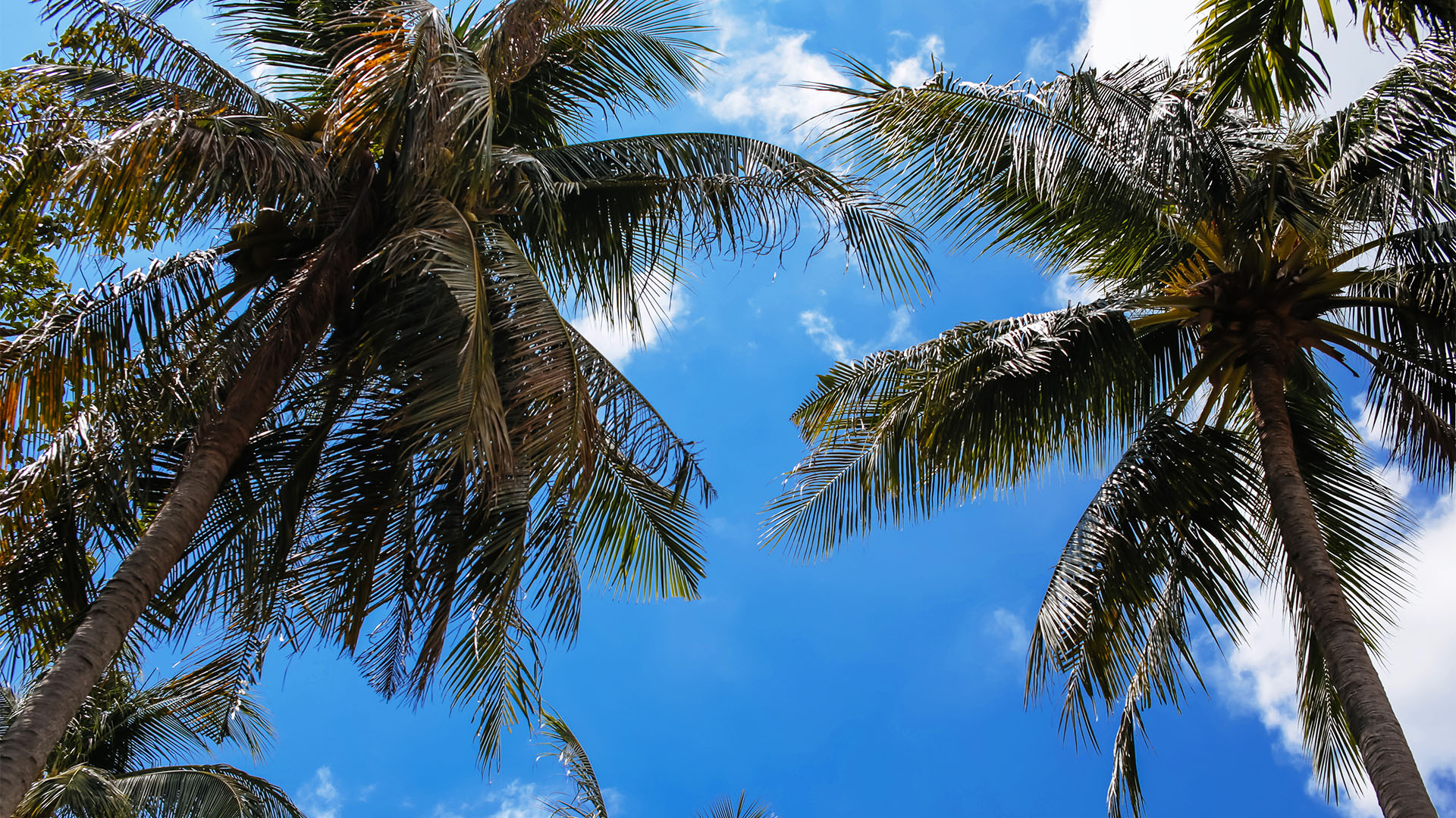 FAQ Live Horizon West - Real Estate | Winter Garden FL | Windermere FL